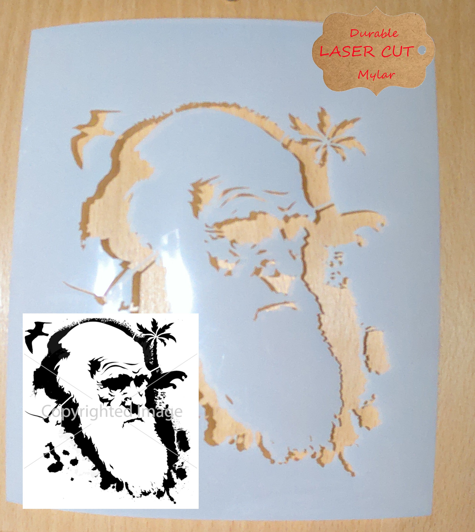 Charles Darwin Airbrush art stencil available in 3 sizes Mylar ships w ...