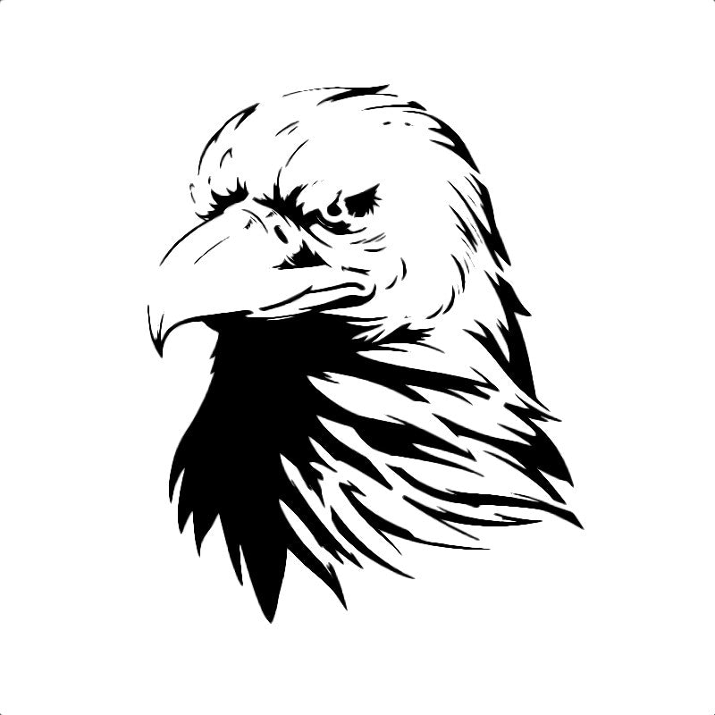 Eagle Airbrush art stencil available in 2 sizes Mylar ships worldwide ...